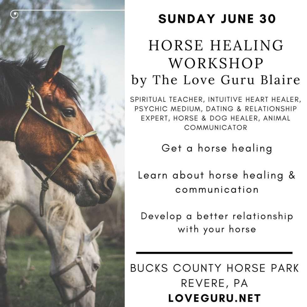 Bucks County Horse Park Horse Whisperer Workshop